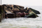 Nona Faustine unpacks the dark and hidden history of America - 1854 ...