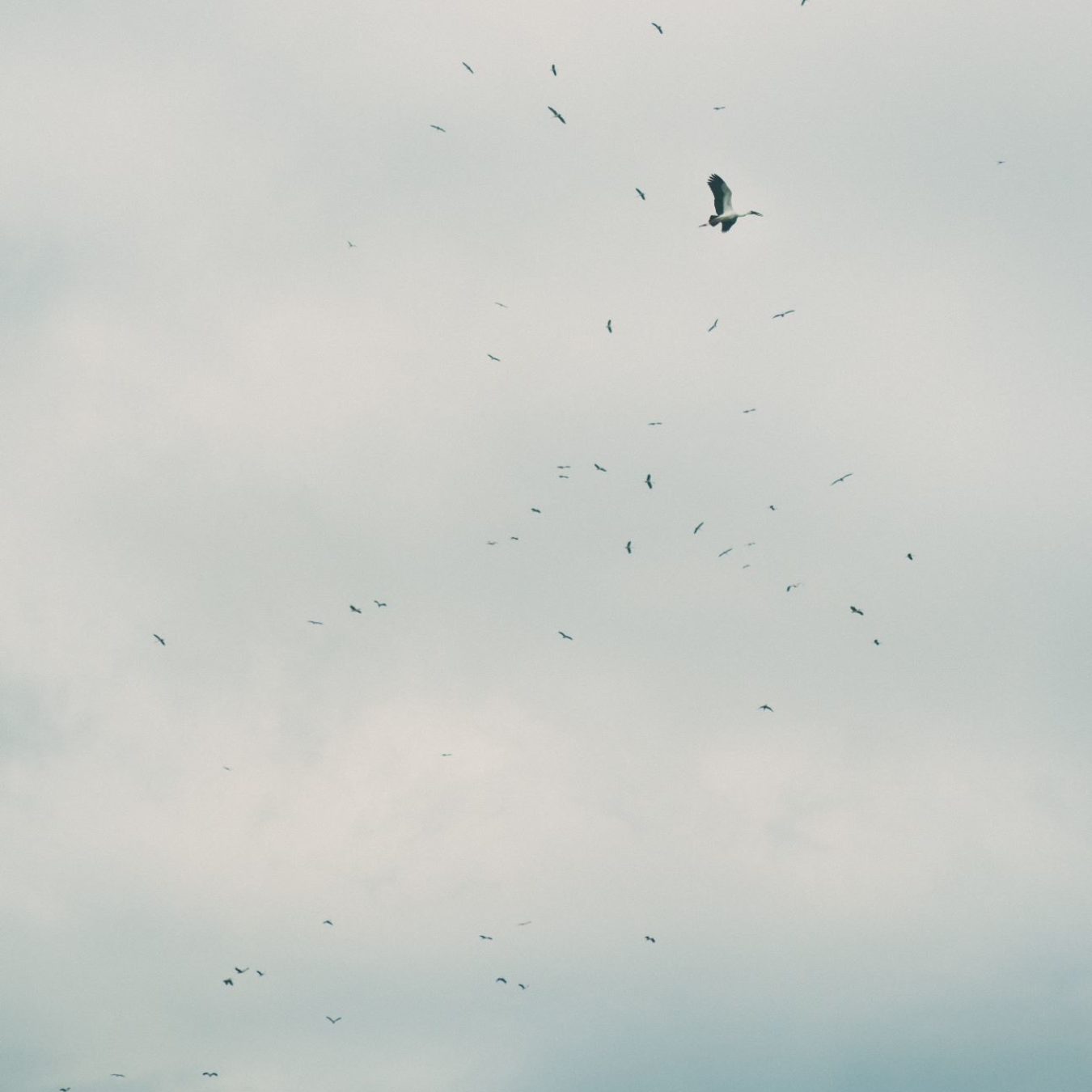 Calvin Chow captures the beauty of Cambodia's Tonlé Sap, where the ...