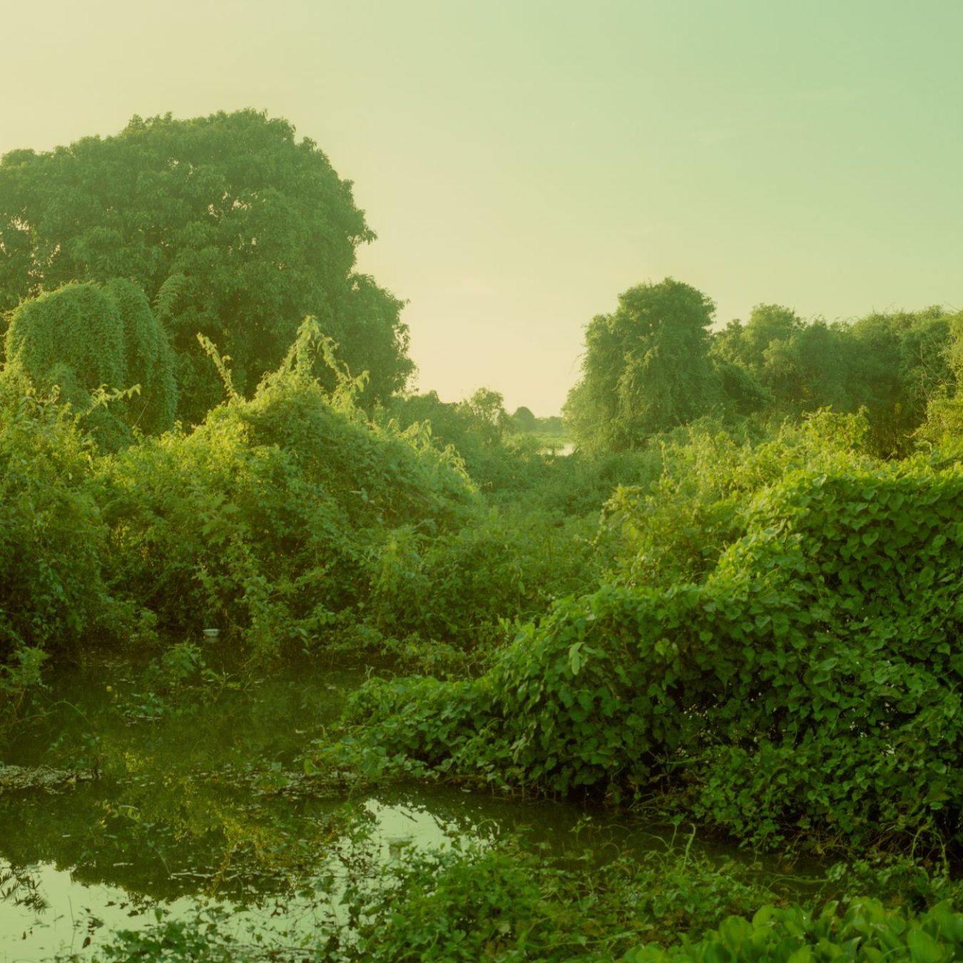 Calvin Chow captures the beauty of Cambodia's Tonlé Sap, where the ...