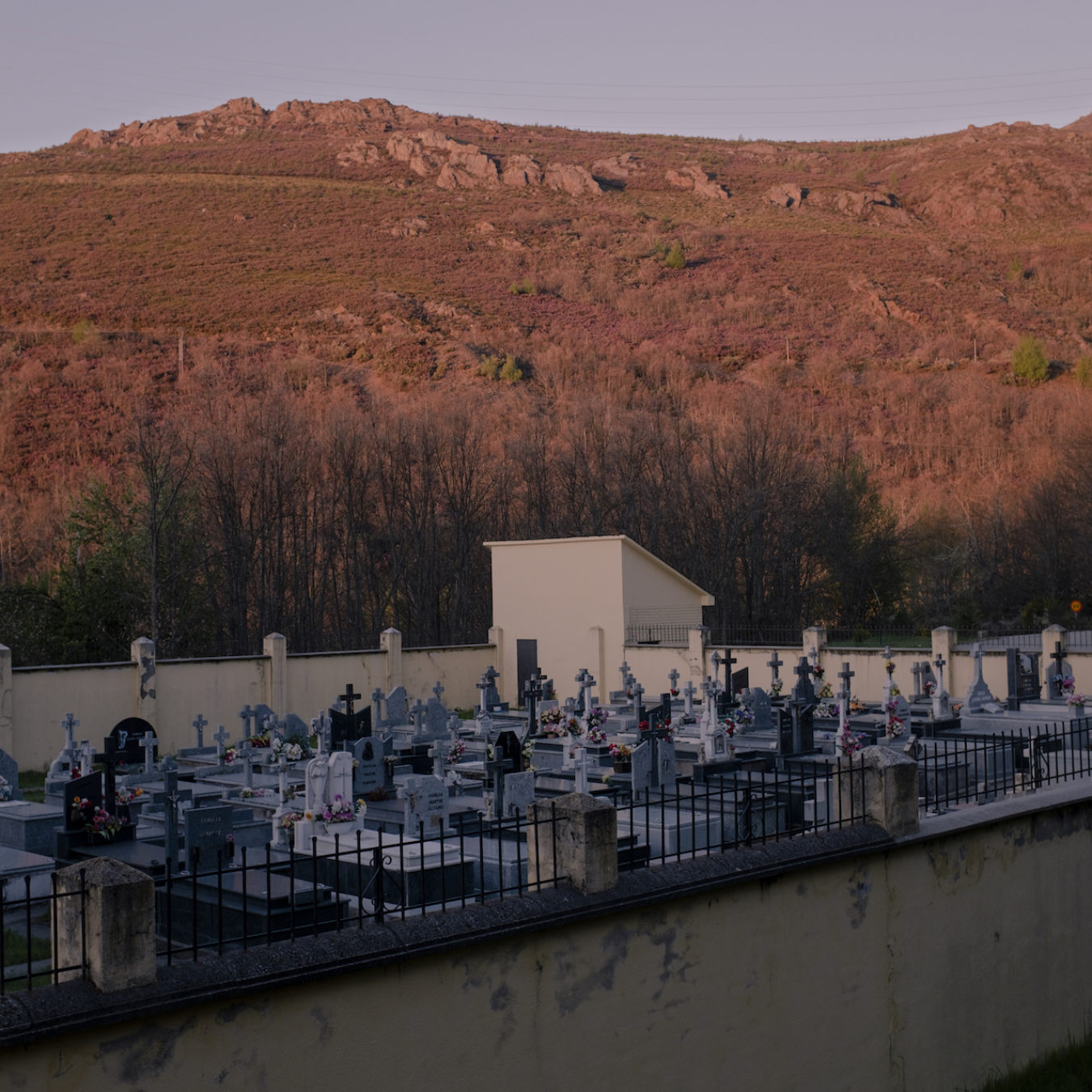Ameena Rojee finds new meaning in walking along the Camino de Santiago ...