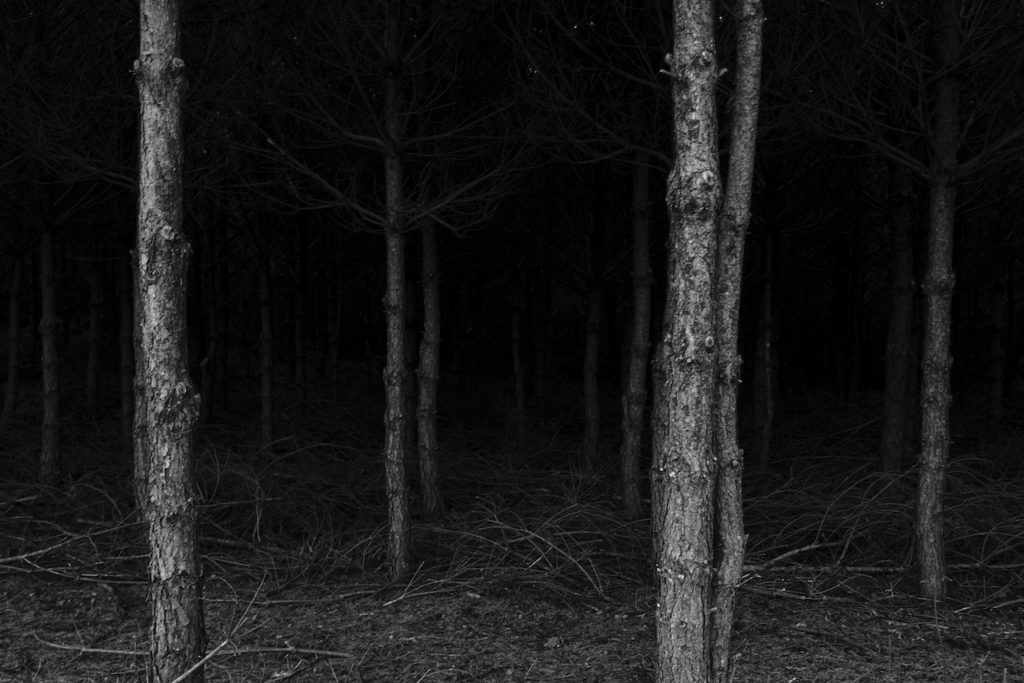 Ameena Rojee finds new meaning in walking along the Camino de Santiago ...