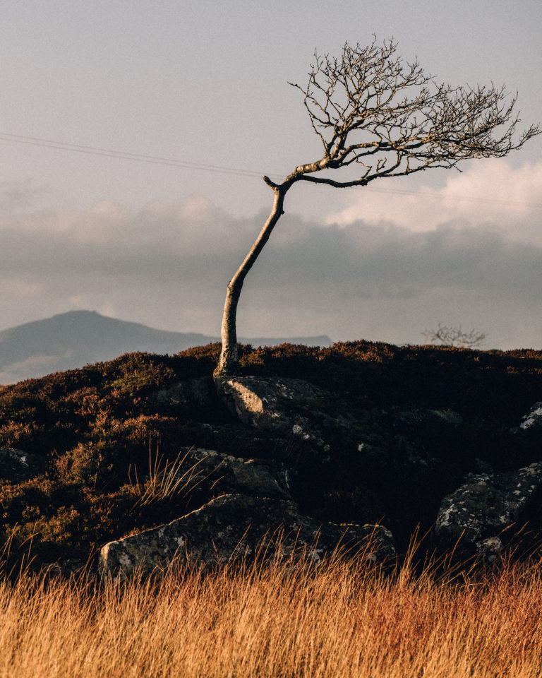 Robbie Lawrence Archives - 1854 Photography