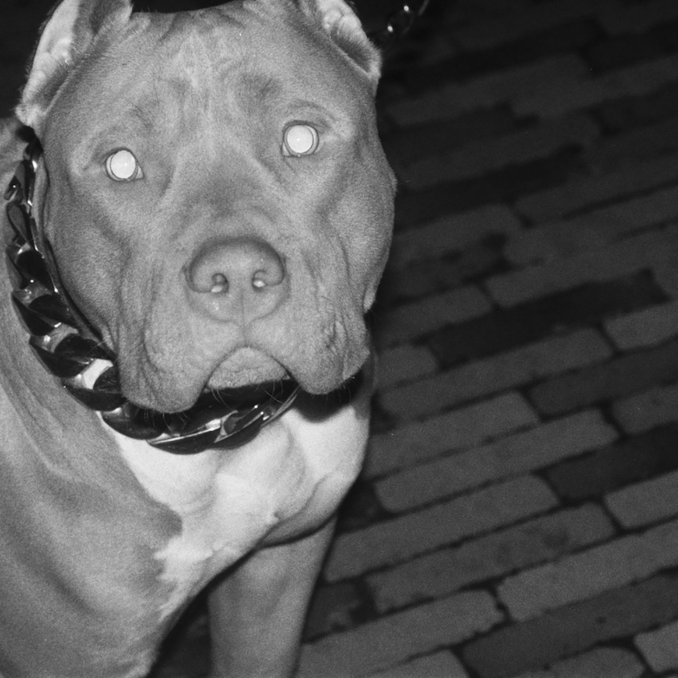 Patrick Goddard’s haunting vision of urban decay, climate change and ...