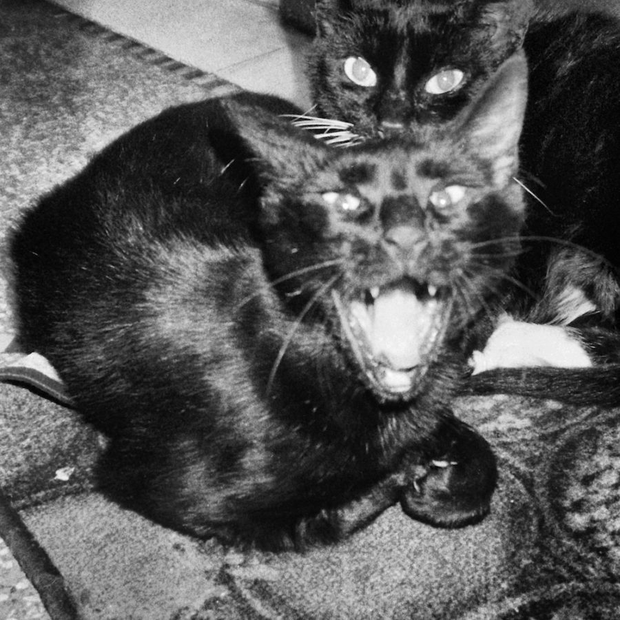 Abdo Shanan’s debut book is an excavation of the artist’s experience of ...