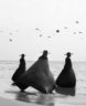 An invented escape: Adeolu Osibodu’s surrealist photography - 1854 ...
