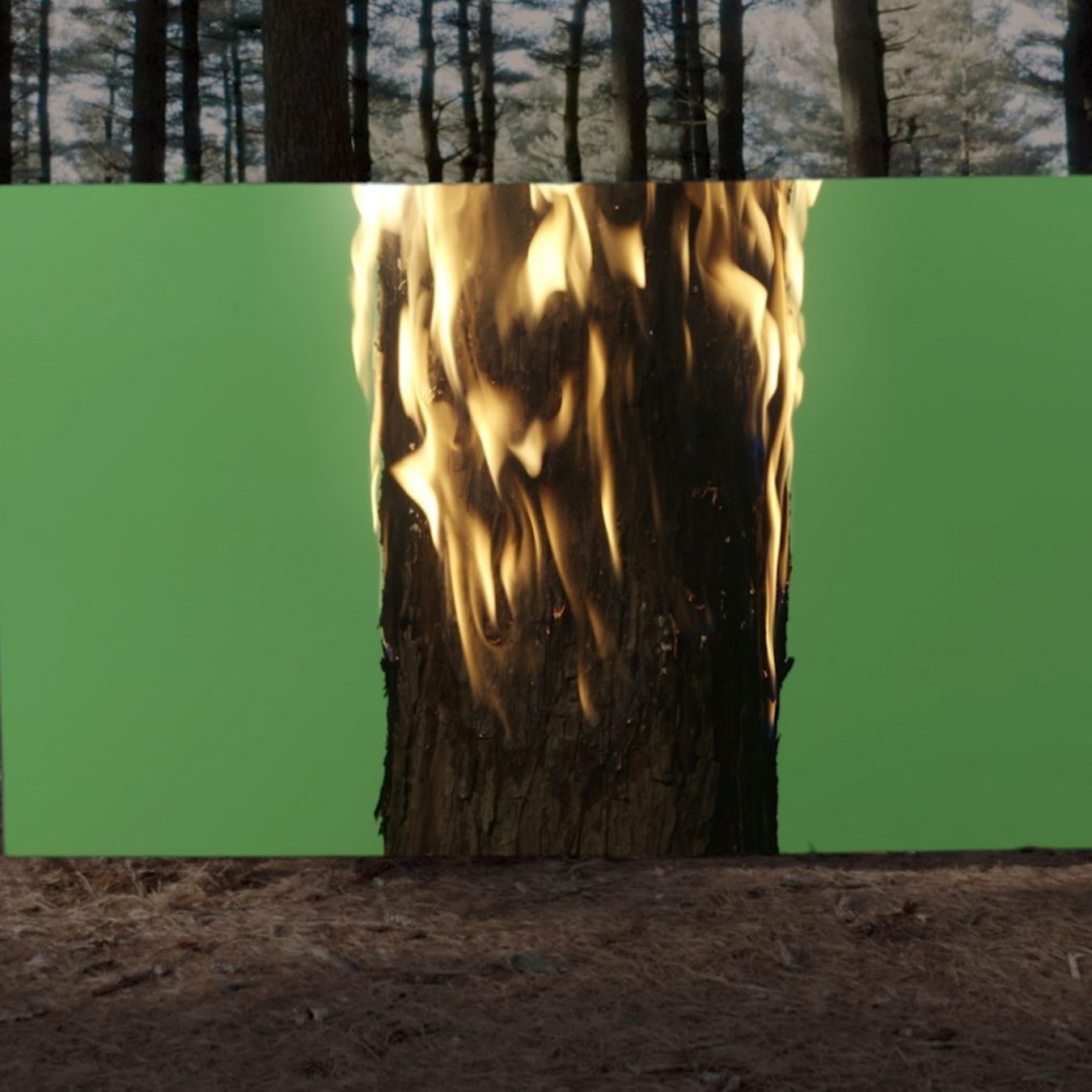 Triennial of Photography Hamburg returns with the theme of Currency ...