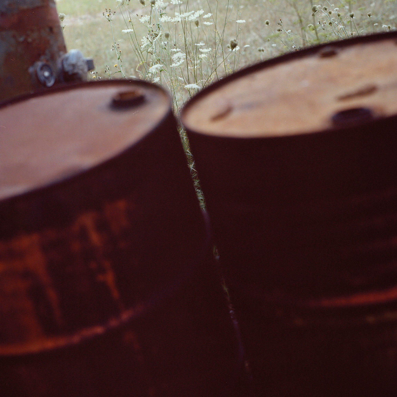 Max Ferguson navigates the memoir and fiction through image and text in ...