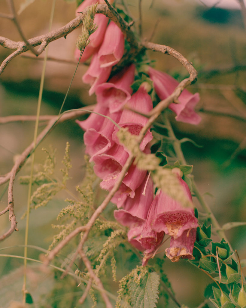 Max Ferguson navigates the memoir and fiction through image and text in ...