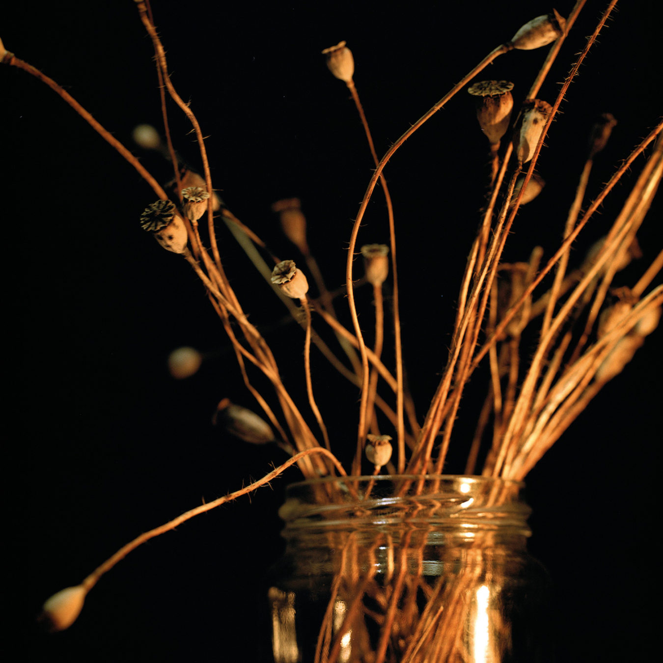 Max Ferguson navigates the memoir and fiction through image and text in ...