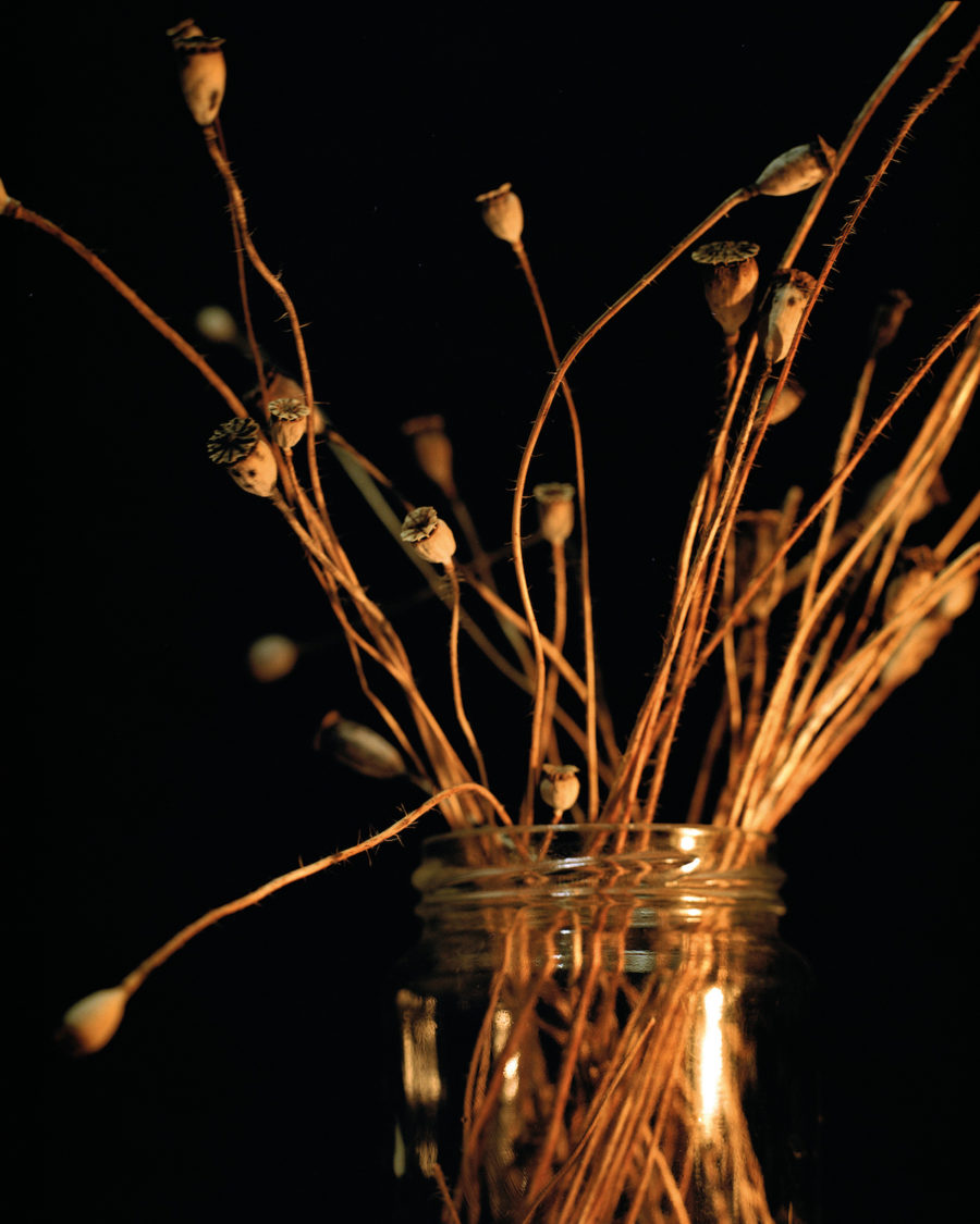 Max Ferguson navigates the memoir and fiction through image and text in ...