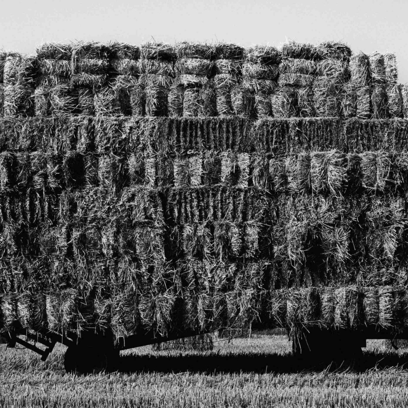 Marco Zanella finds love in the Italian countryside - 1854 Photography