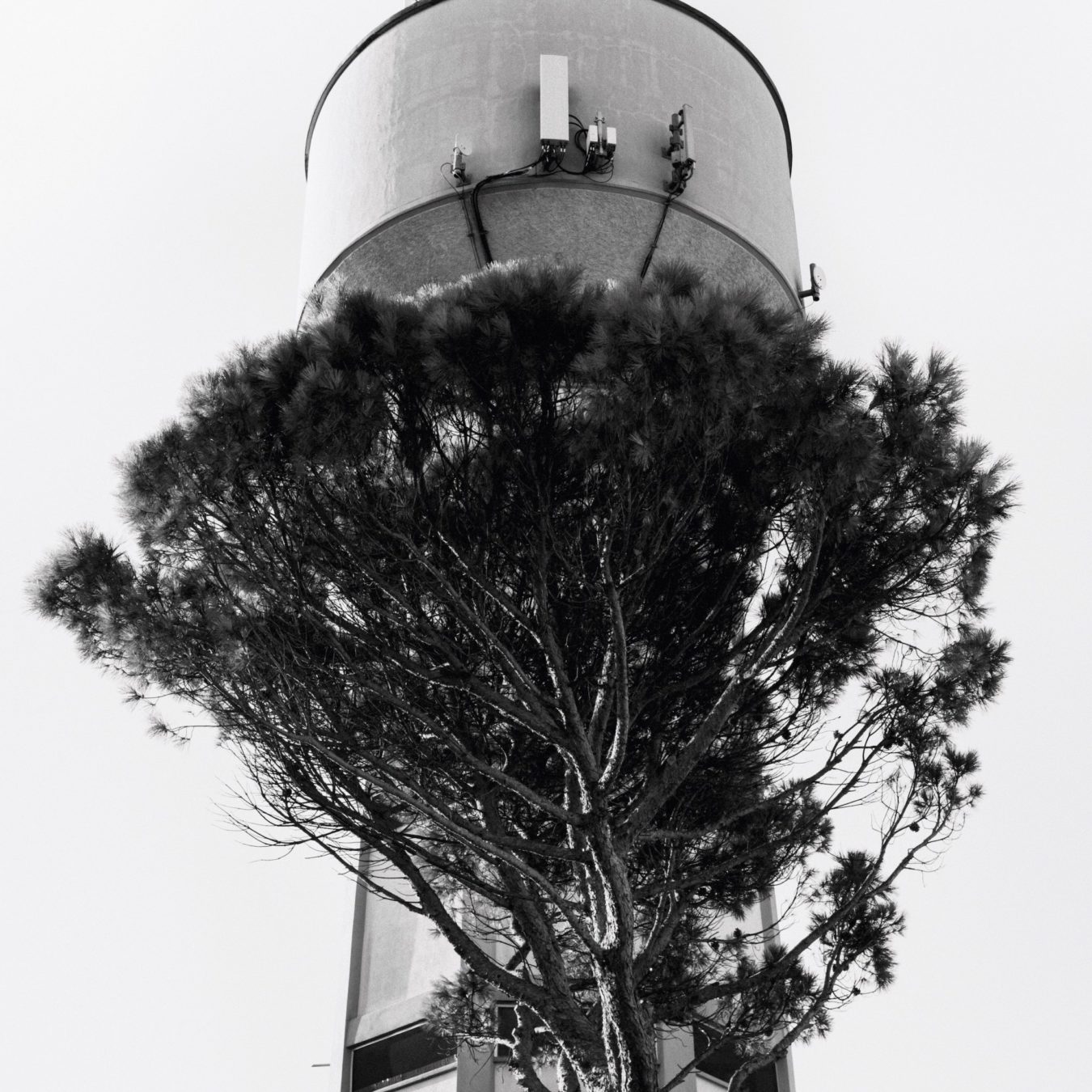 Marco Zanella finds love in the Italian countryside - 1854 Photography