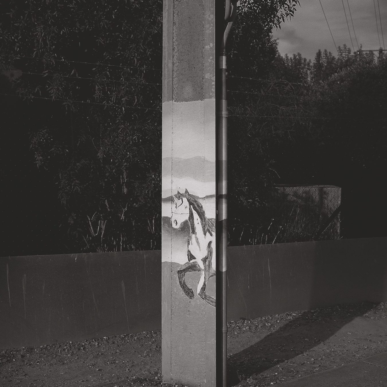 James Bugg investigates ecological decay in Australia - 1854 Photography