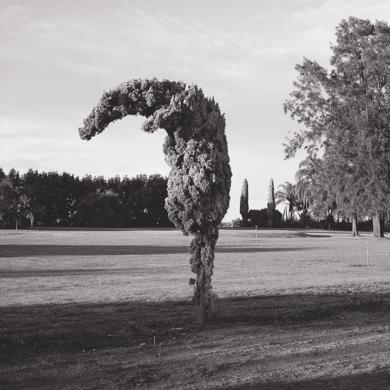 James Bugg investigates ecological decay in Australia - 1854 Photography