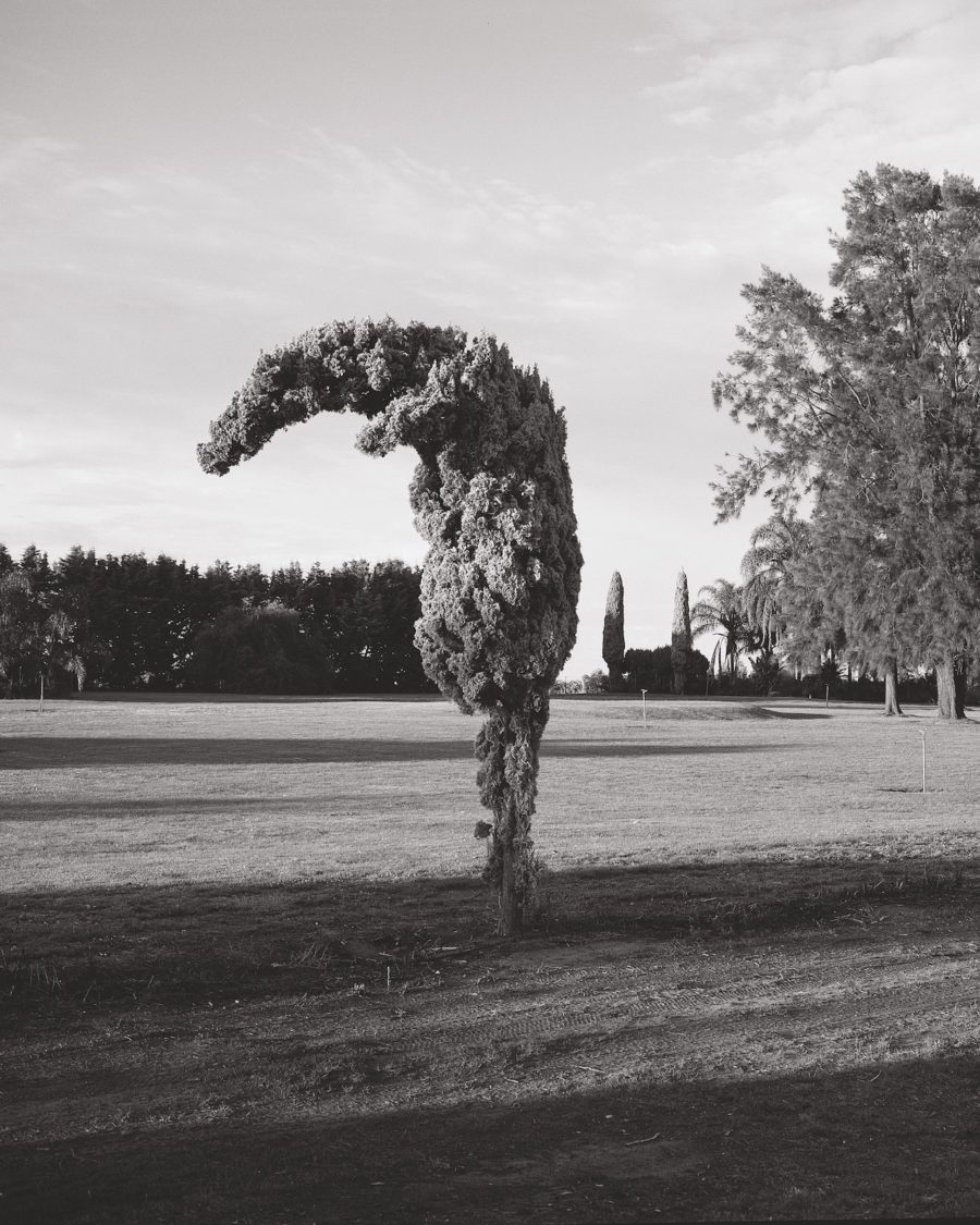 James Bugg investigates ecological decay in Australia - 1854 Photography