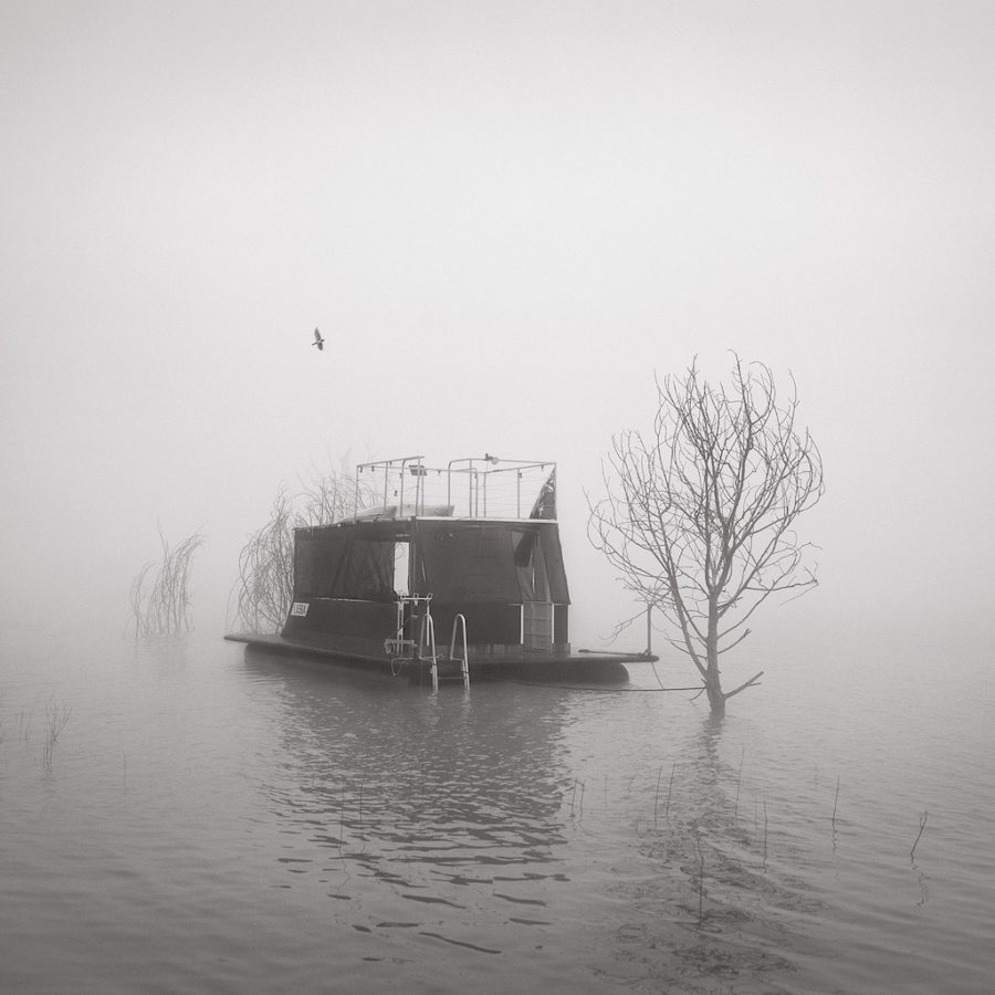 James Bugg investigates ecological decay in Australia - 1854 Photography