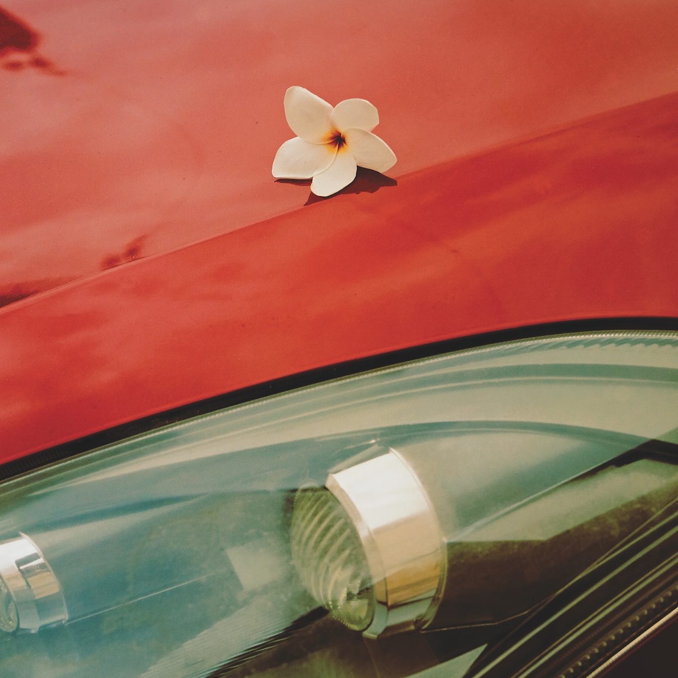 Cedrine Scheidig explores notions of home, place, and the Afro ...