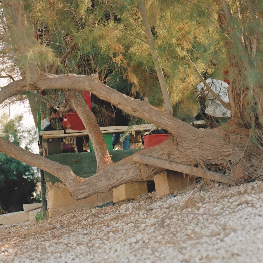 Cedrine Scheidig explores notions of home, place, and the Afro ...