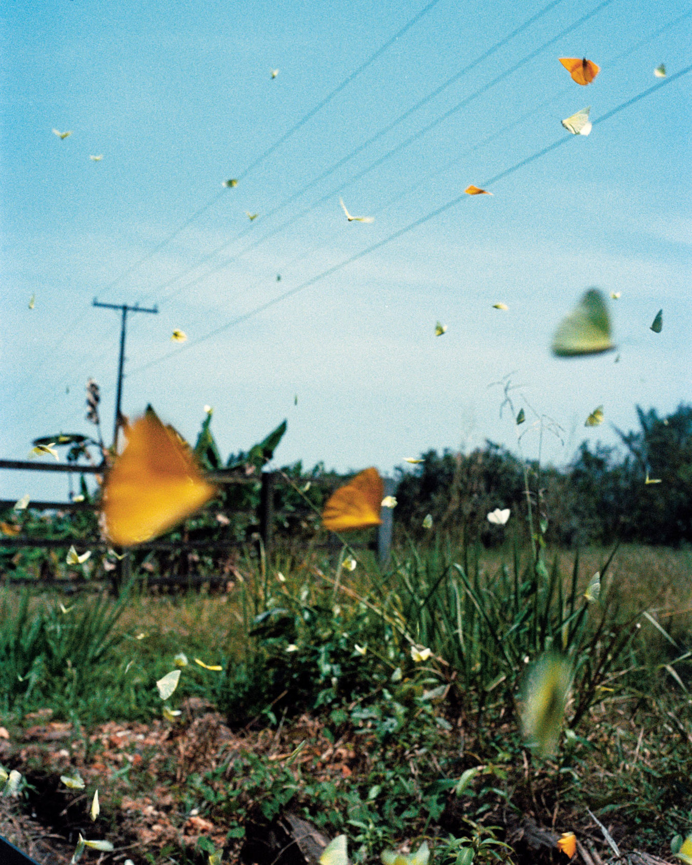 Daniel Jack Lyons explores identity and youth in the Brazilian Amazon ...