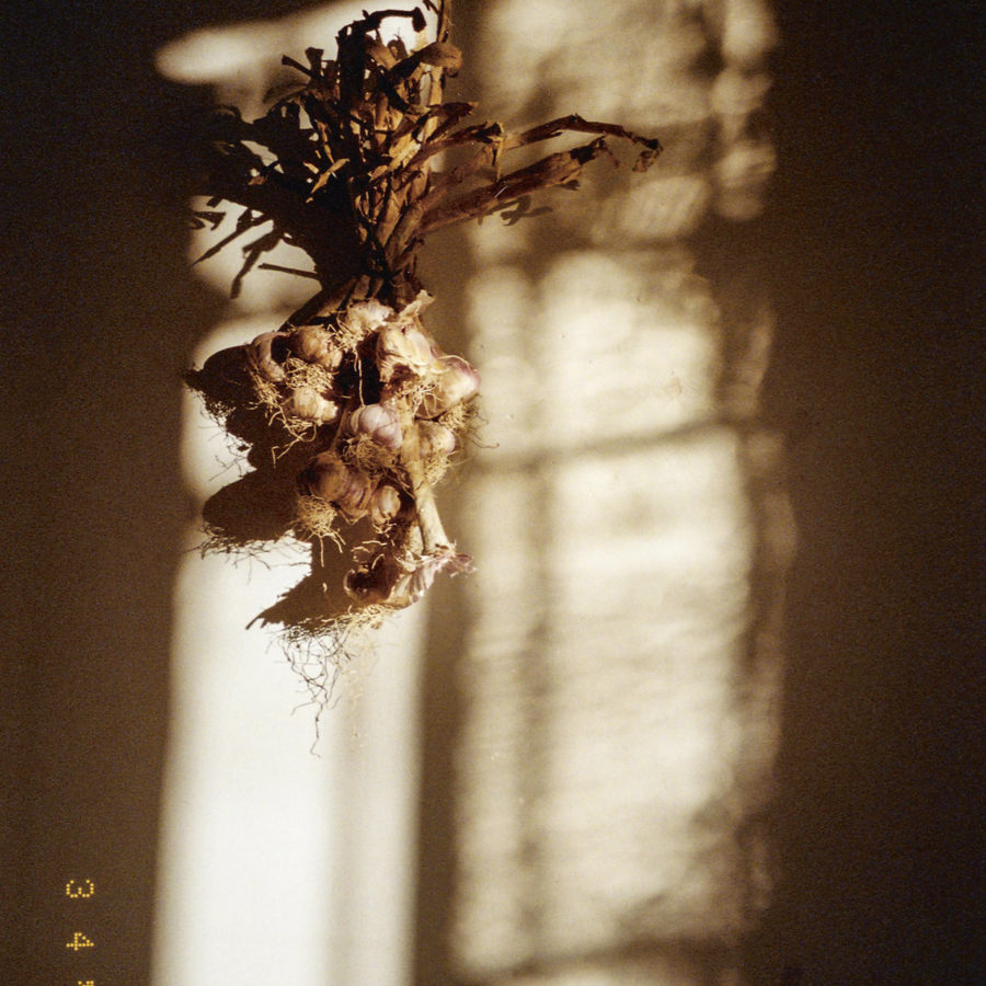 Julia Gat’s decade-long project invites us to reimagine what we define ...