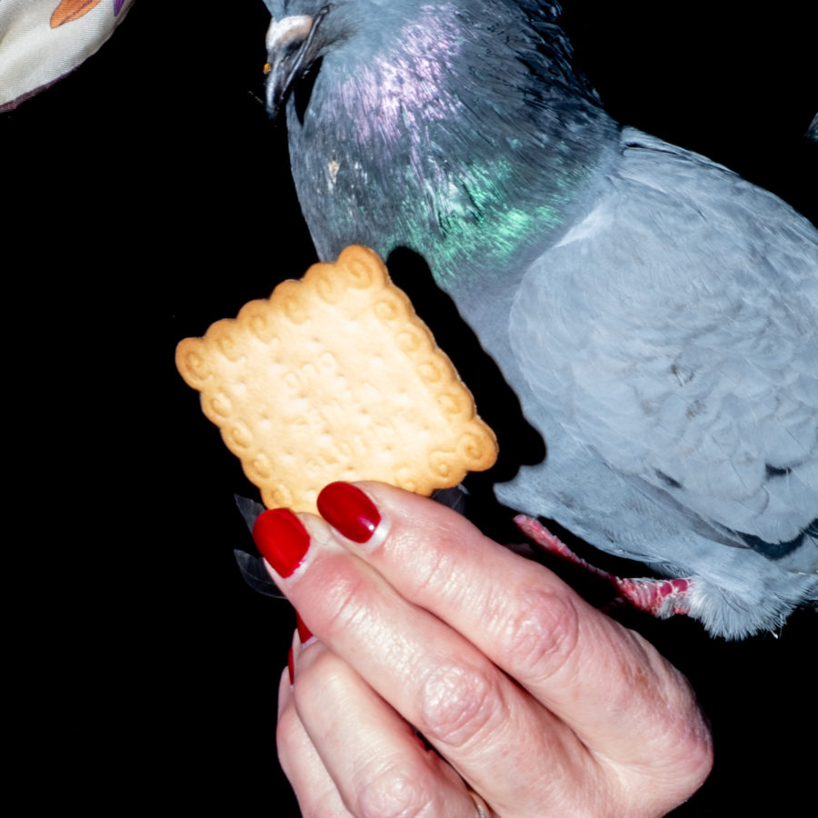 Ones to Watch Community 2022: Fransisca Angela, Lucia Buricelli and ...