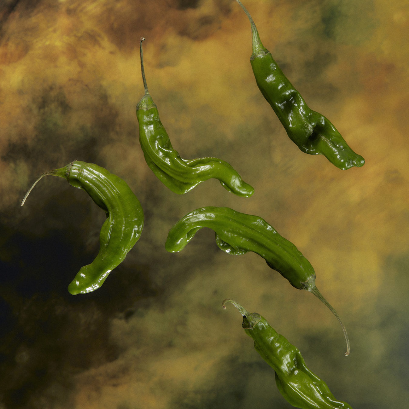 10 14 Gallery's latest show journeys through David Brandon Geeting's ...