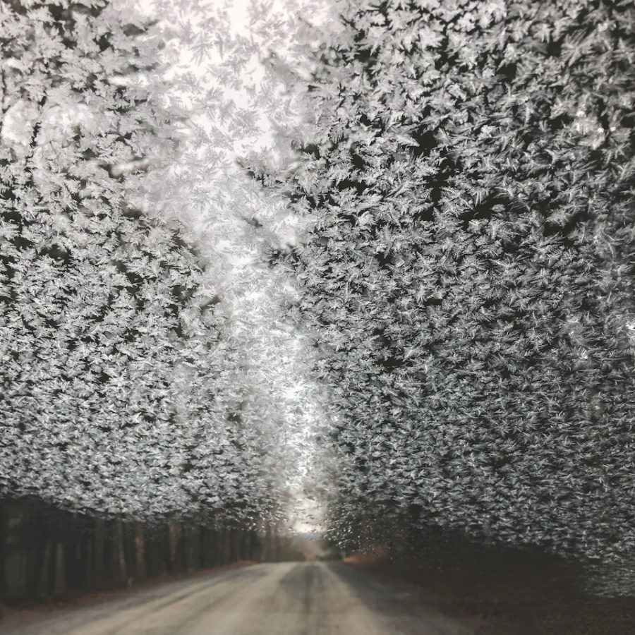 In sharing her experience of postpartum depression Rachel Papo allows ...