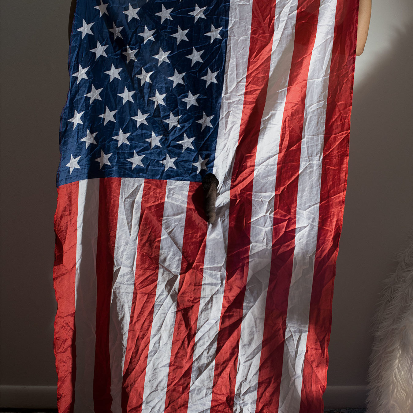 D’Angelo Lovell Williams draws on contemporary culture, history, and ...