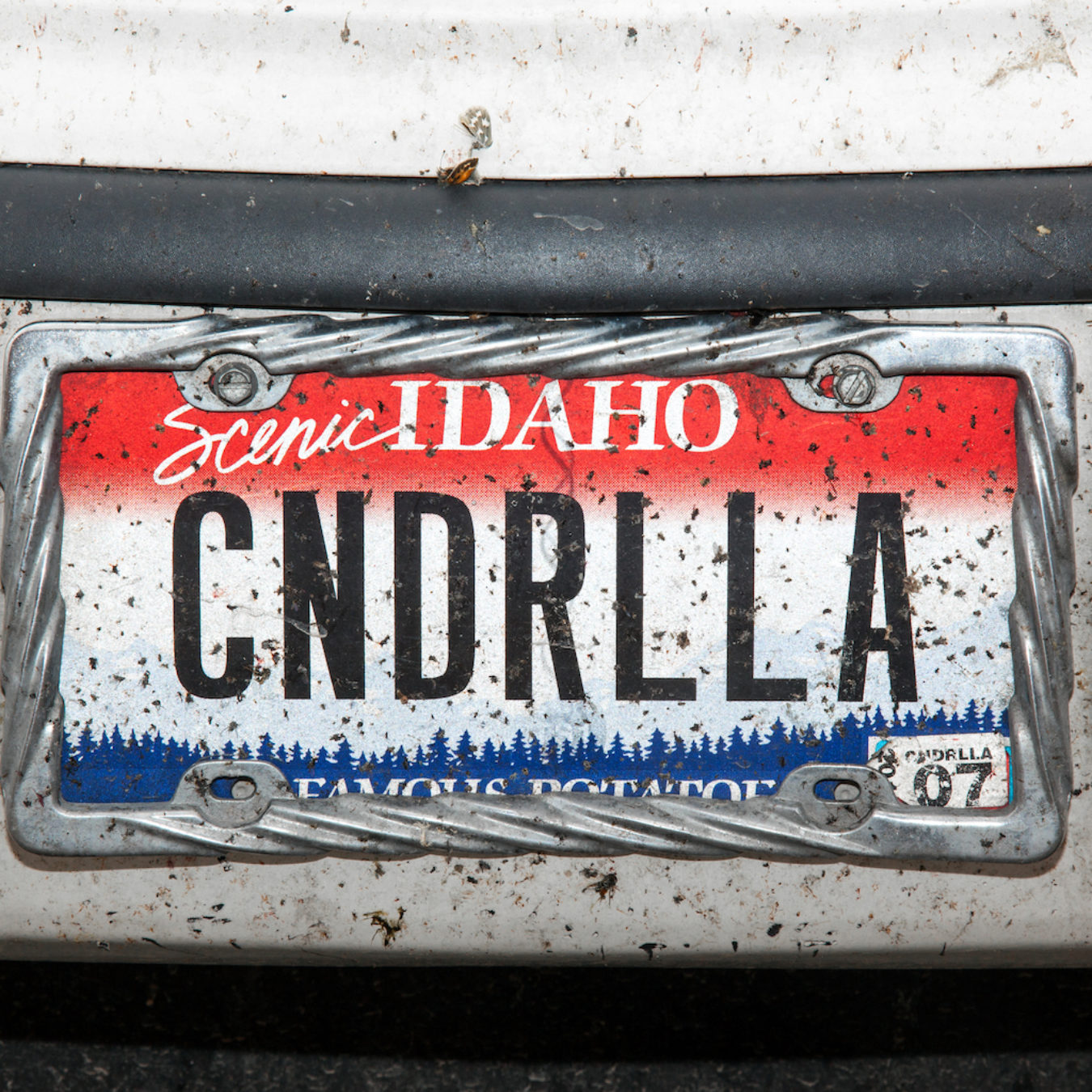 Jon Horvath documents Bliss, a tiny city in Idaho, “to see what ...