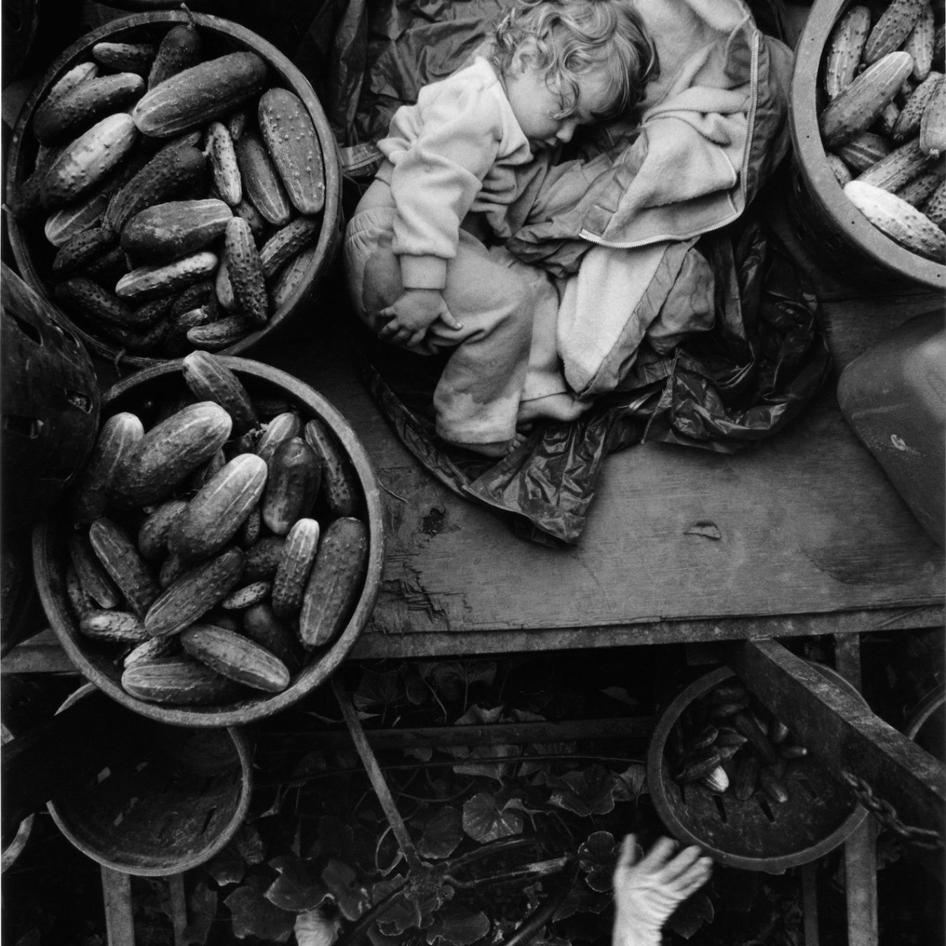 Land and freedom: Larry Towell’s nine-year document of Mennonite ...