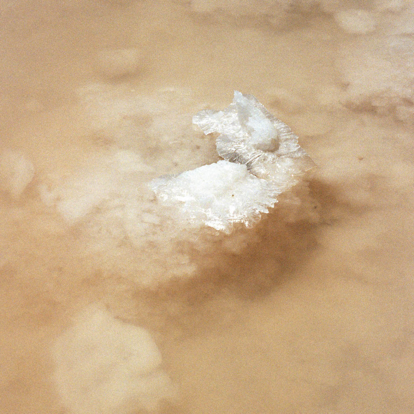 Jess Gough studies the texture, moods, and kinaesthetic qualities of ...