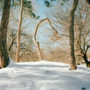 Capturing Central Park’s vibrant community, Scott Rossi illustrates the ...