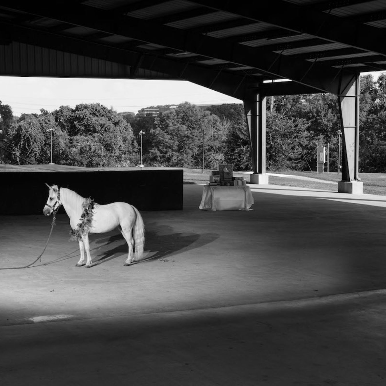 Eli Durst examines the dichotomy between the staged and the candid ...