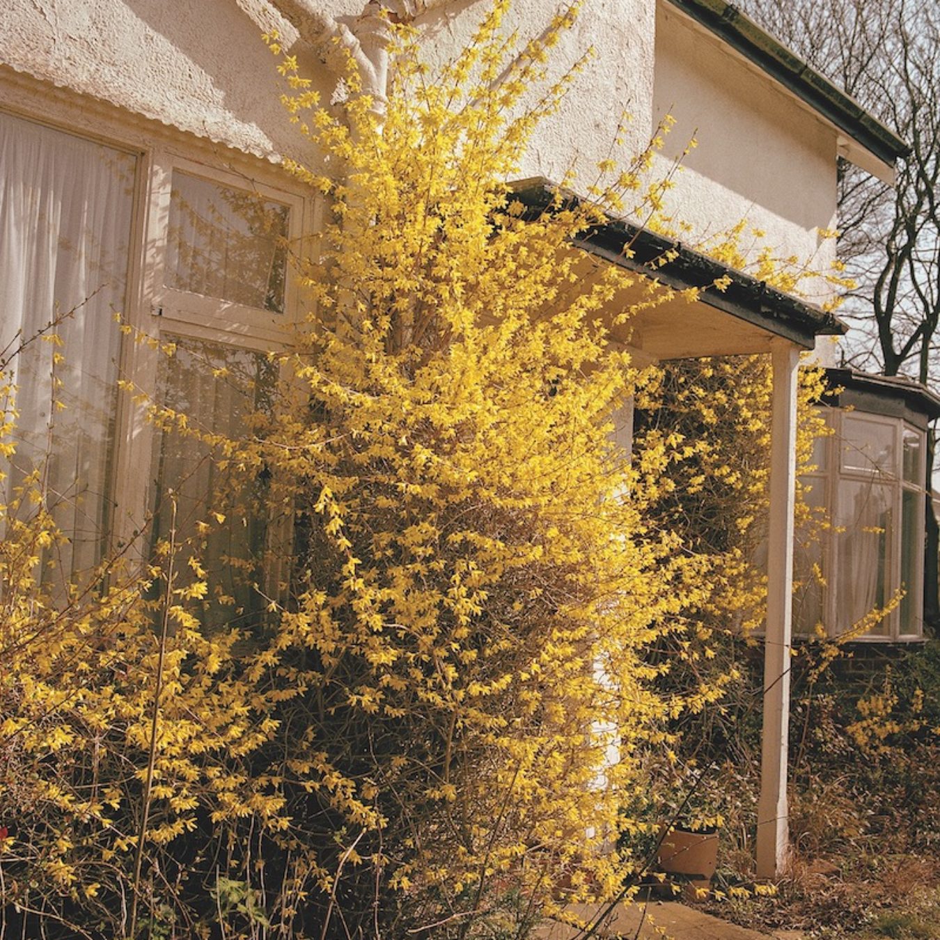 Max Miechowski documents the community that lives along England's ...