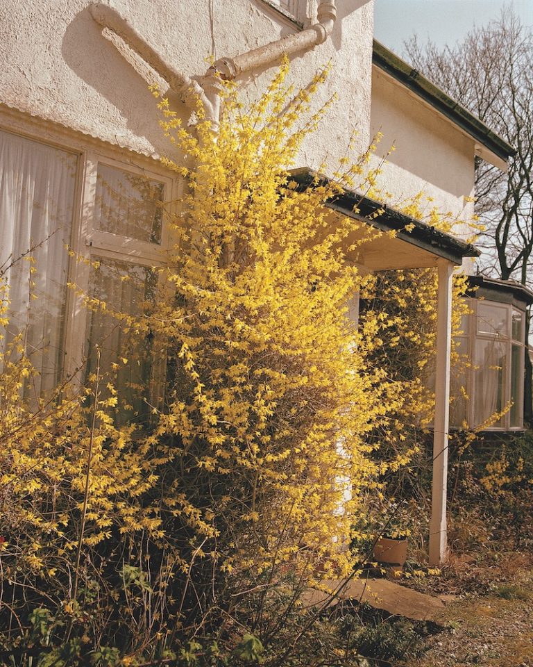 Max Miechowski documents the community that lives along England's ...