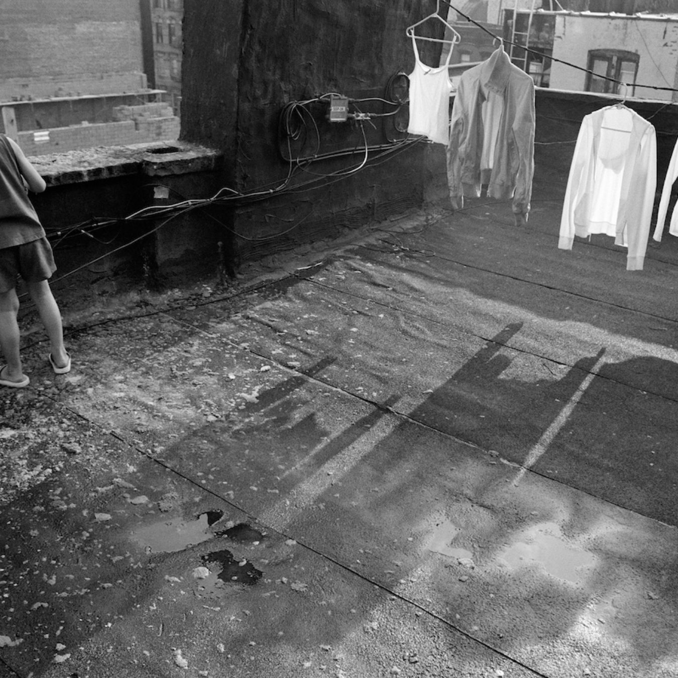 The Lams of Ludlow Street by Thomas Holton: “A photography project that ...