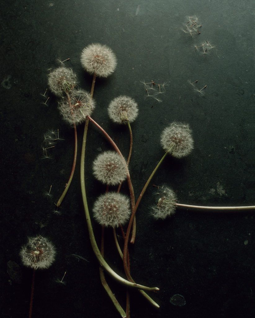 Emma Hardy’s debut monograph is a tender document of motherhood ...