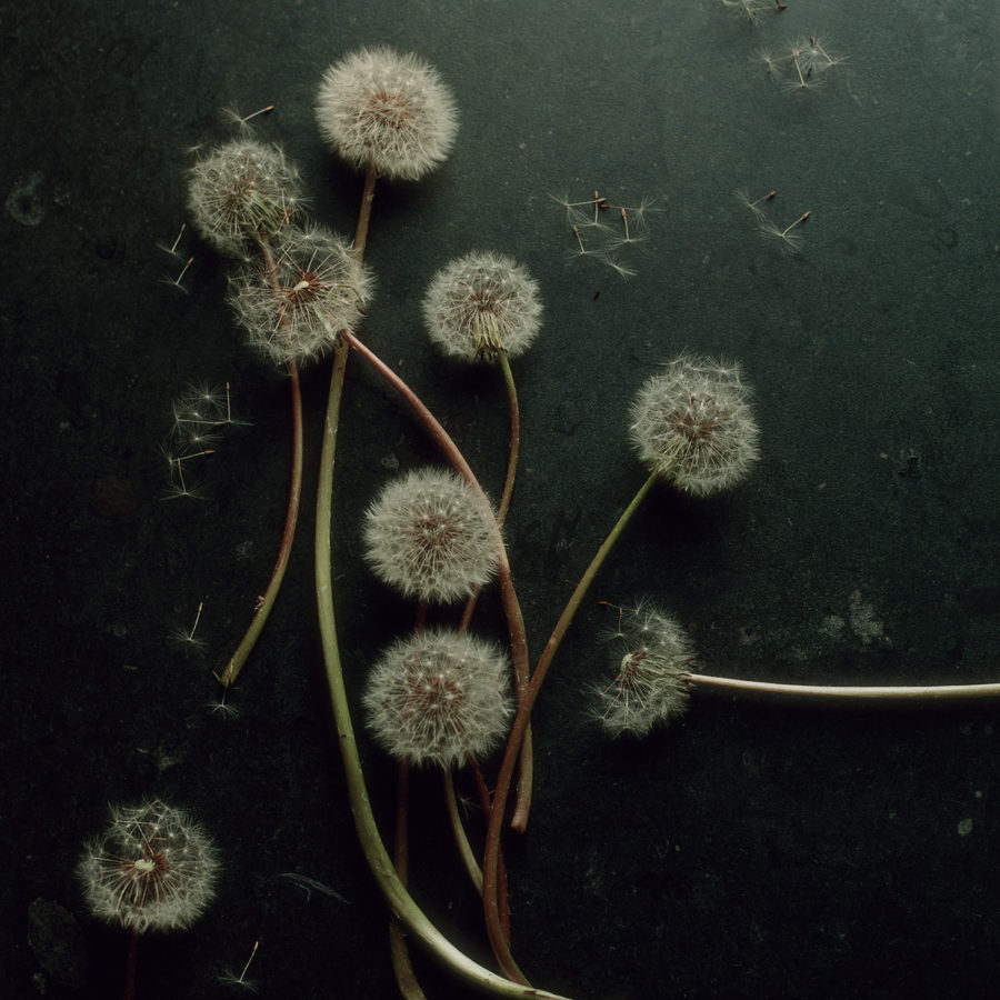 Emma Hardy’s debut monograph is a tender document of motherhood ...