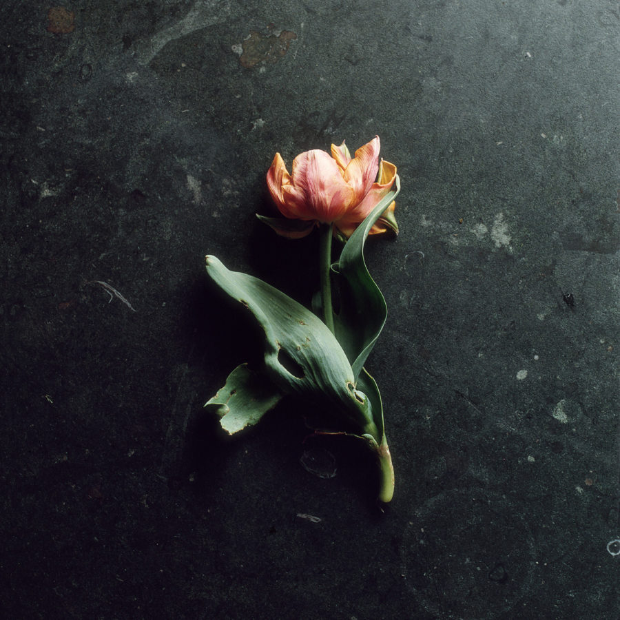 Emma Hardy’s debut monograph is a tender document of motherhood ...