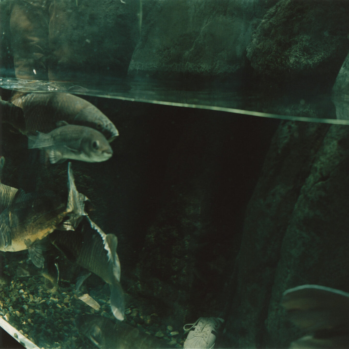 Mikiko Hara photographs the small stories in the bigness of life