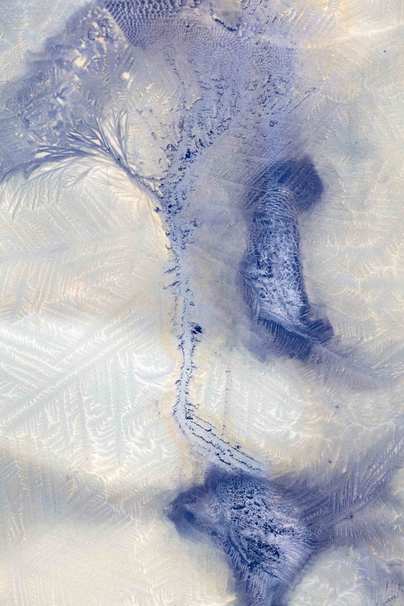 Meghann Riepenhoff’s new book collects cyanotypes made by ice - 1854 ...