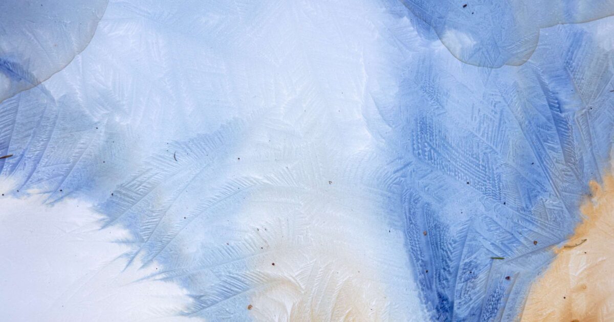 Meghann Riepenhoff’s new book collects cyanotypes made by ice - 1854 ...