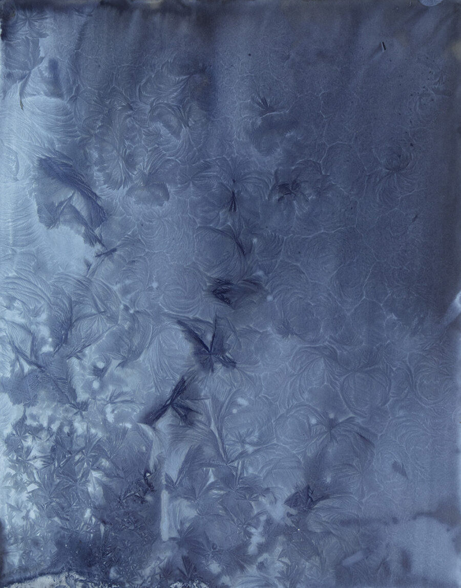 Meghann Riepenhoff’s new book collects cyanotypes made by ice - 1854 ...