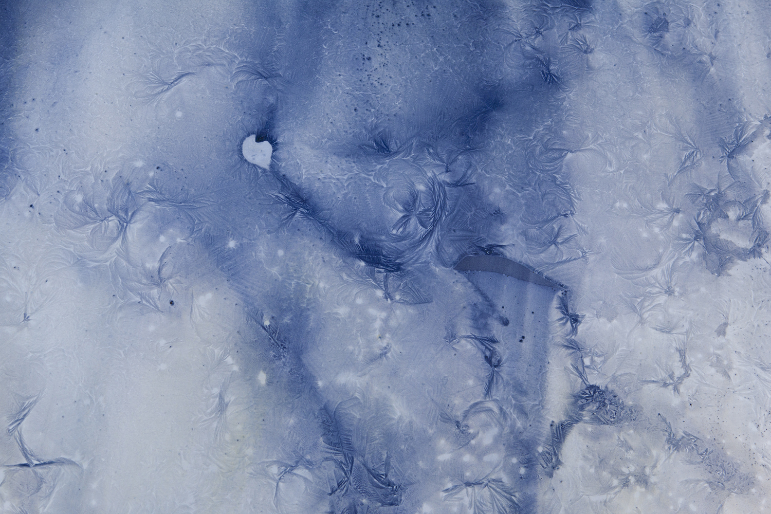 Meghann Riepenhoff’s new book collects cyanotypes made by ice - 1854 ...