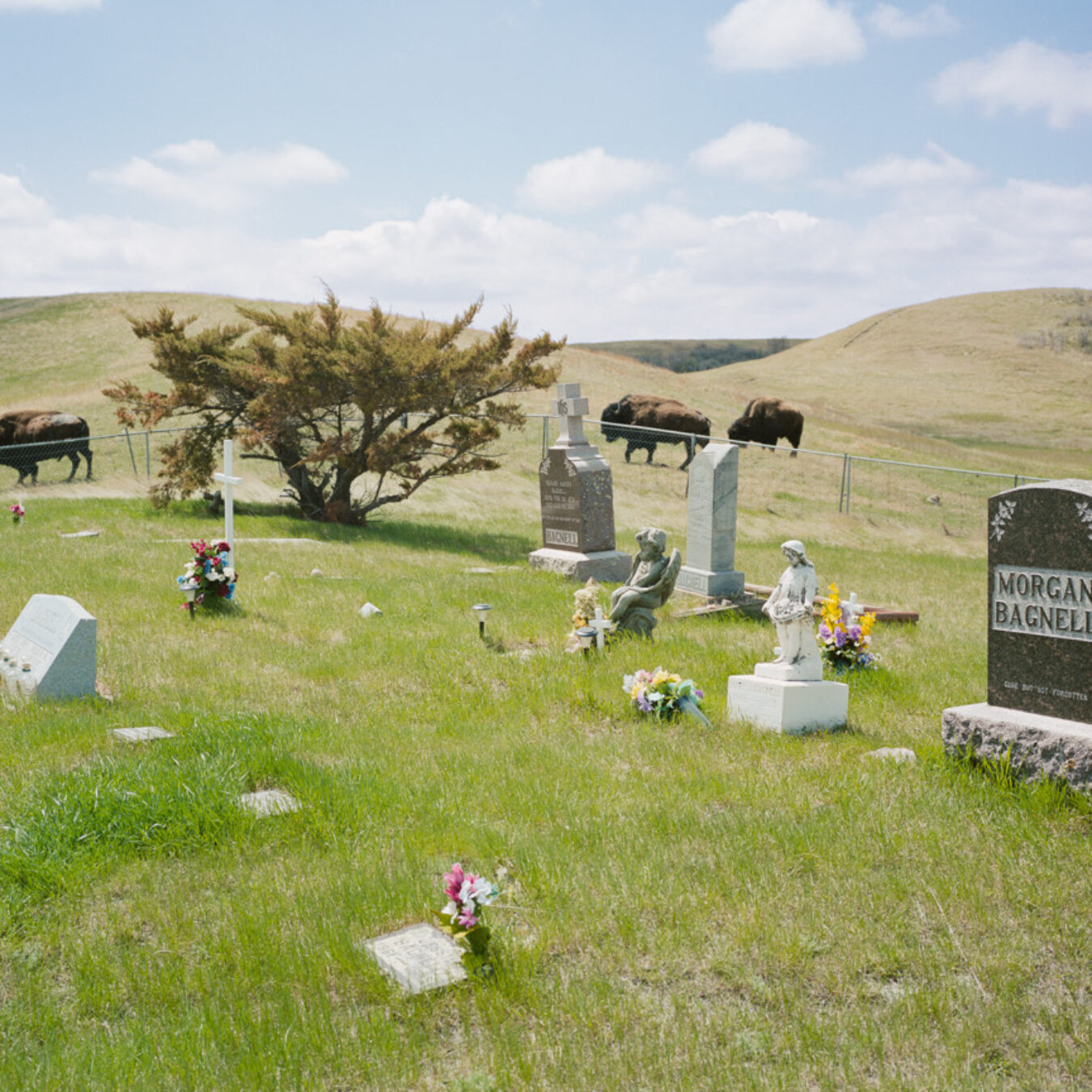 Ian Bates' poetic response to the American Midwest - 1854 Photography
