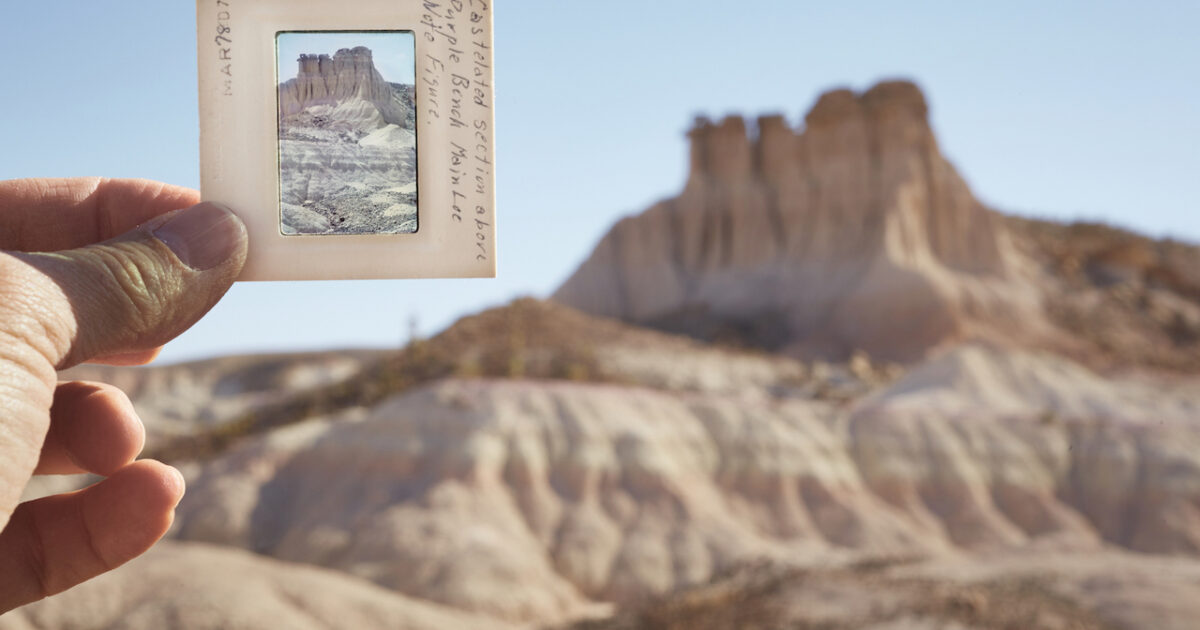 Sarah Wilson combines photography and palaeontology to evoke deep ...