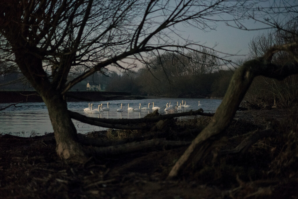 A winter’s tale: Jem Southam’s story of loss, mortality and hope along ...