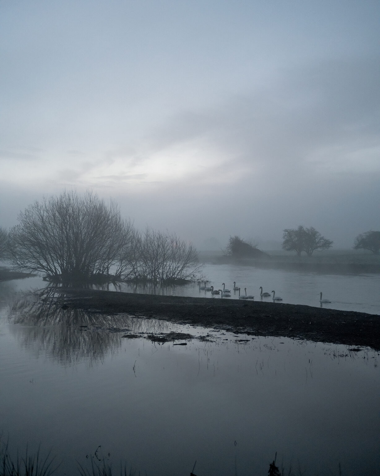 A winter’s tale: Jem Southam’s story of loss, mortality and hope along ...