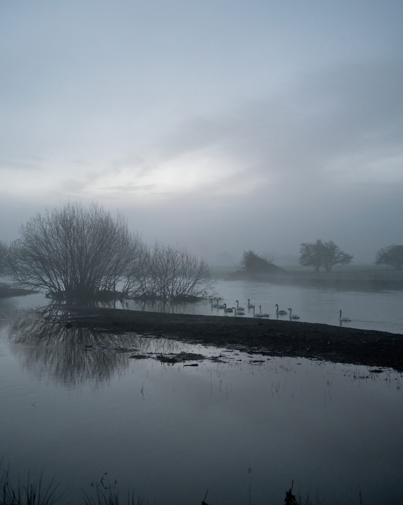 A winter’s tale: Jem Southam’s story of loss, mortality and hope along ...