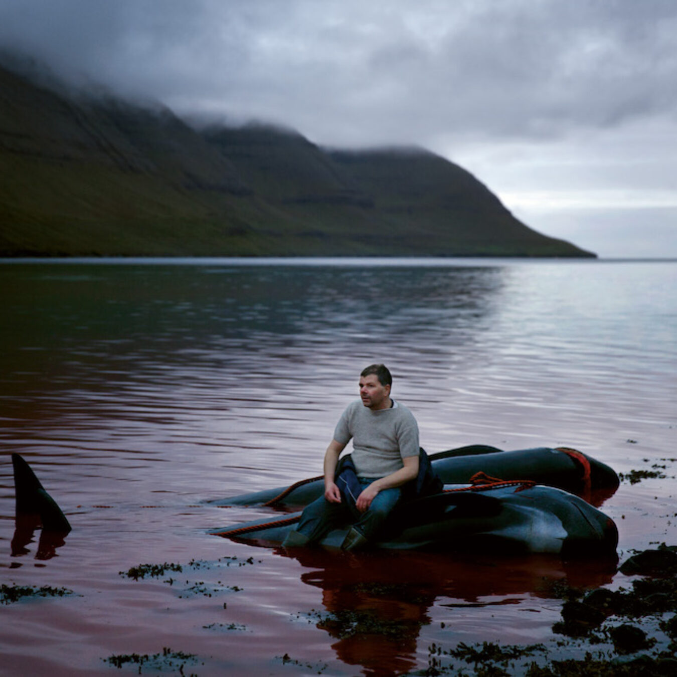 ‘Married to the landscape’: Photographing the Faroe Islands, where men ...